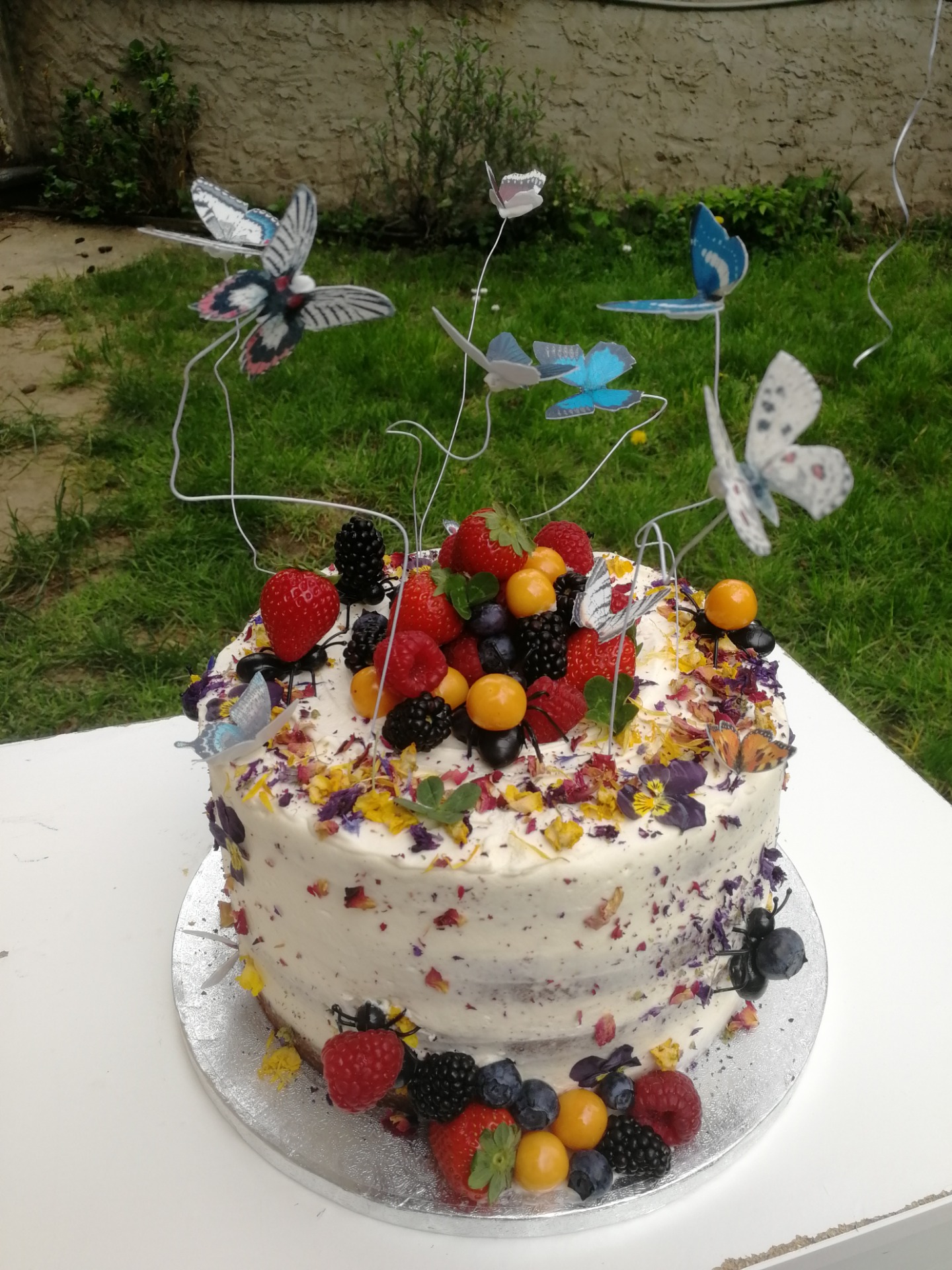 Galerie, Narozeninové dorty, Svatební dorty, 3D dorty